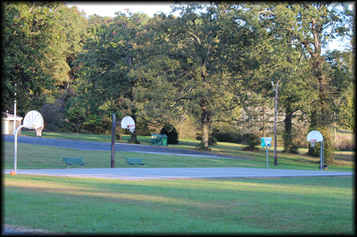 How Tiger Got It's Name